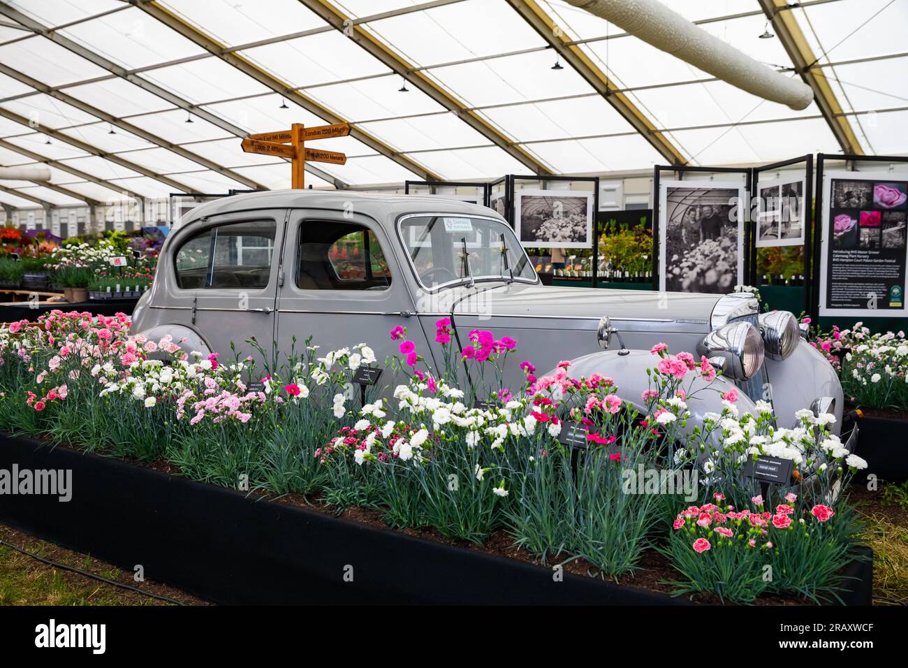 RHS Hampton Court Palace Flower Festival Stock Photo - Alamy