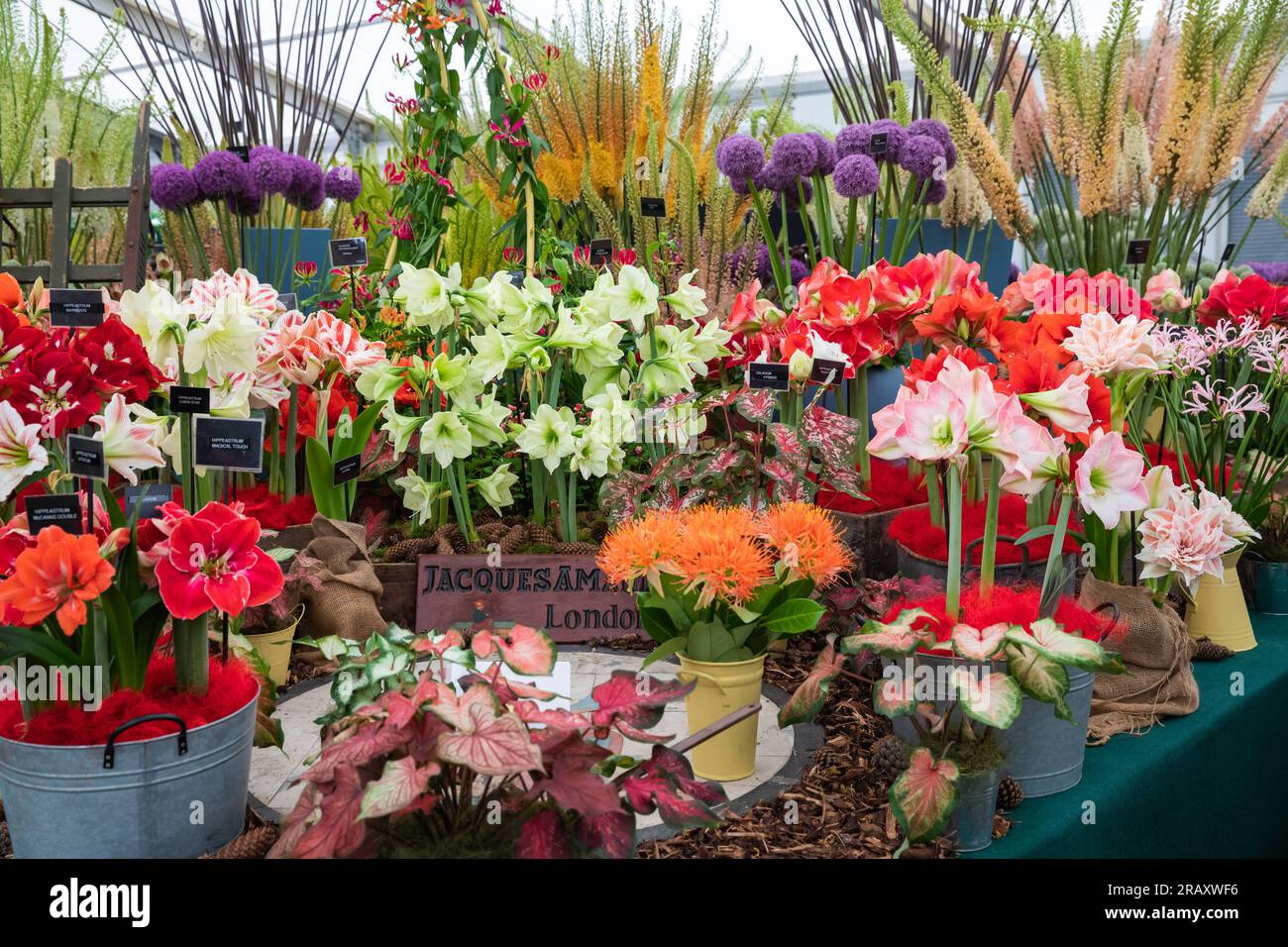 RHS Hampton Court Palace Flower Festival Stock Photo - Alamy