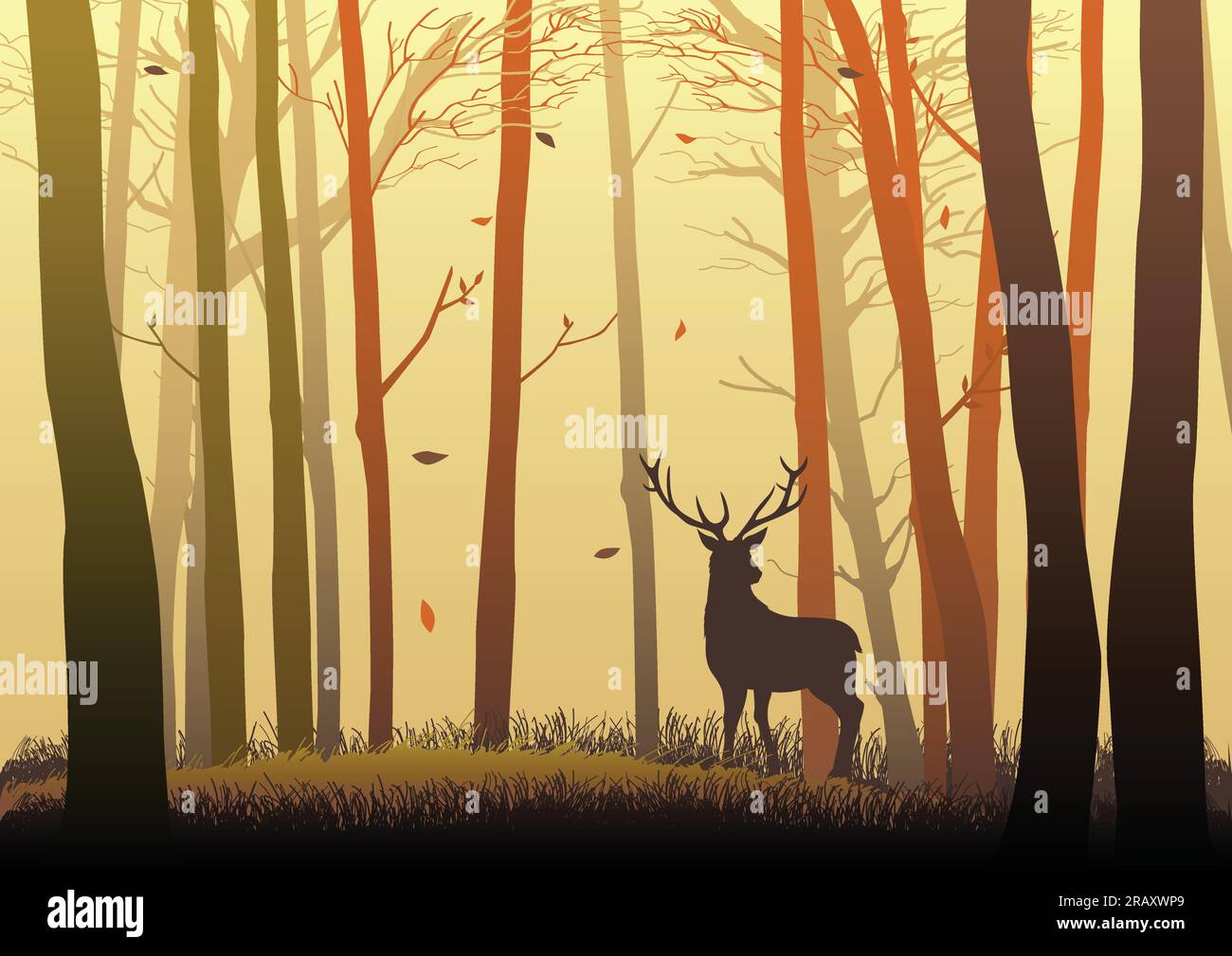 Wildlife woods autumn Stock Vector Images - Alamy