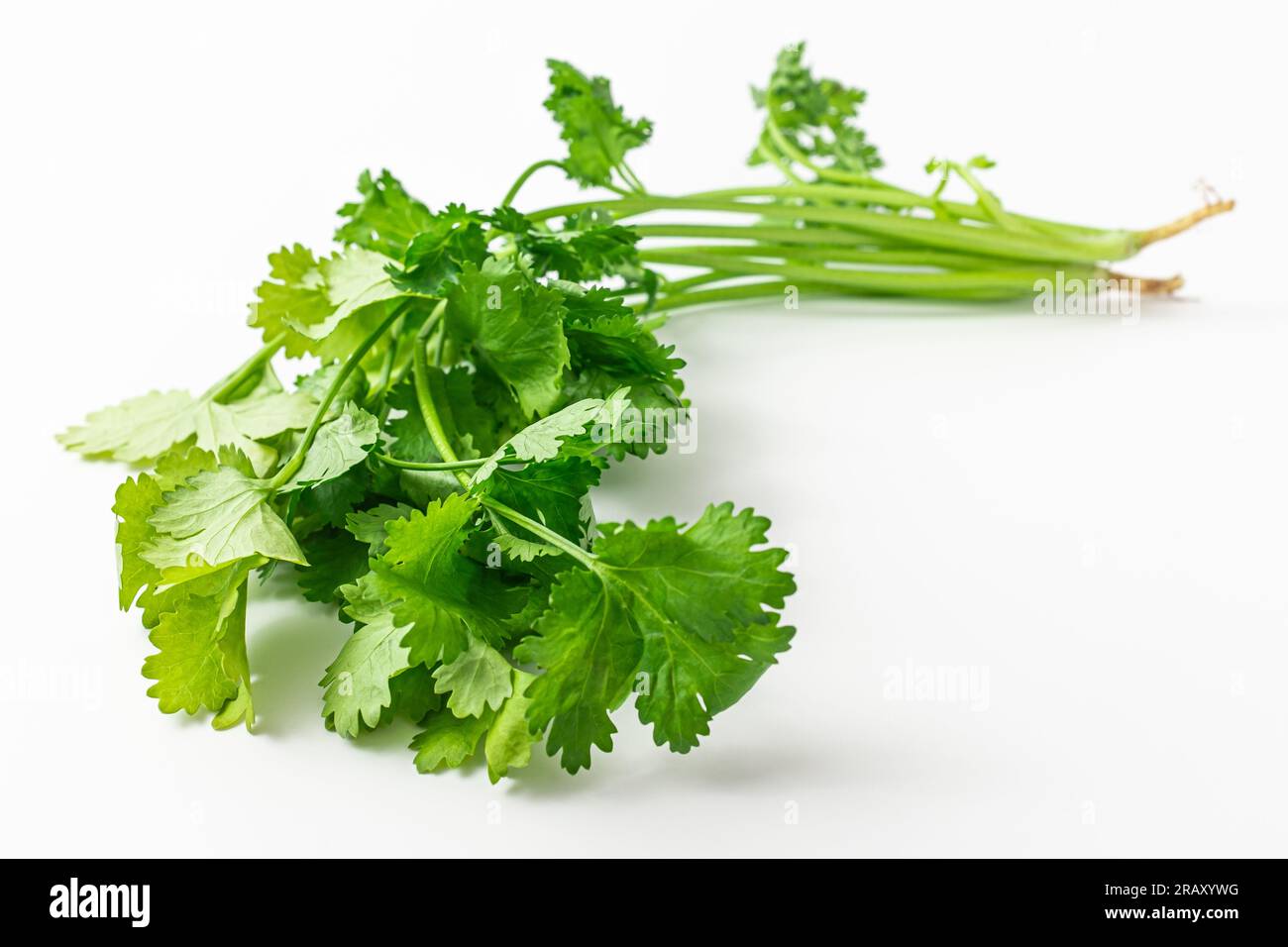 Strong aroma hi-res stock photography and images - Alamy