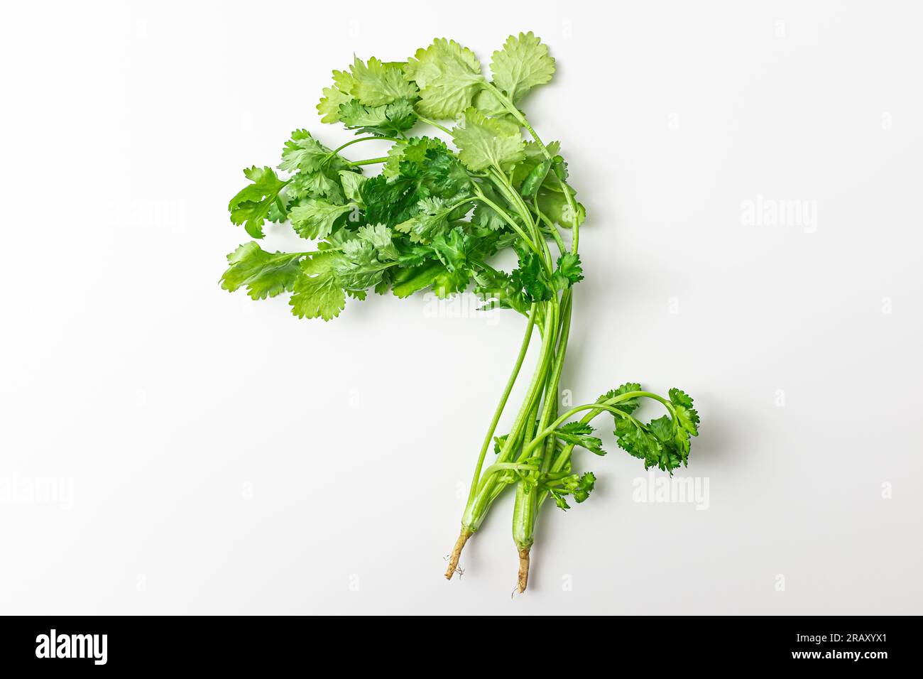 Strong aroma hi-res stock photography and images - Alamy