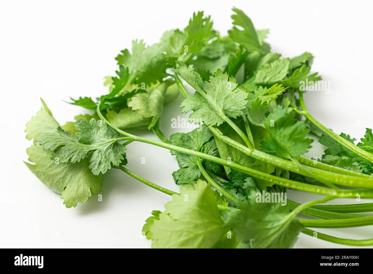 Strong aroma hi-res stock photography and images - Alamy