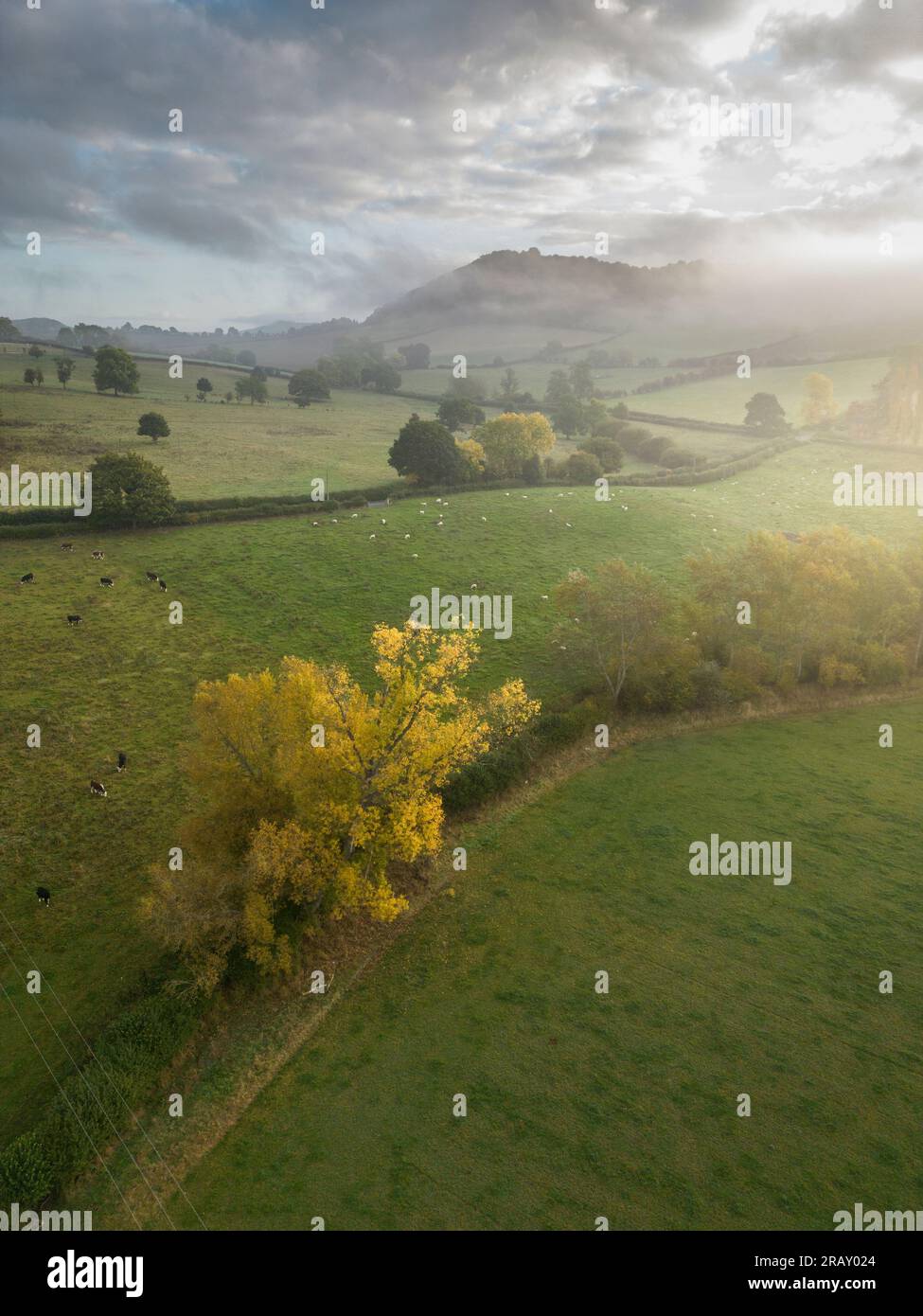 Clunton hi-res stock photography and images - Alamy