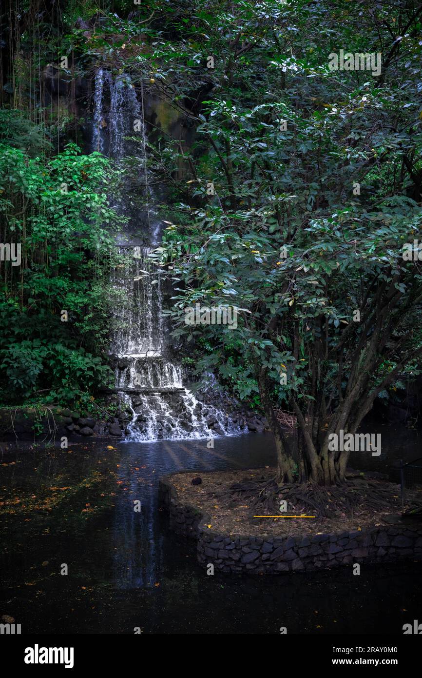 Beautiful waterfall hidden in the tropical jungle, Dark environmental ...