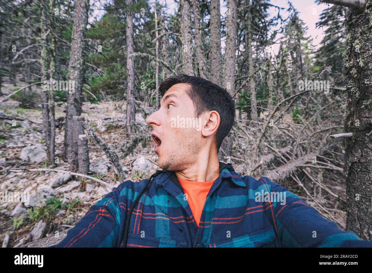 A frightened and lost male hiker looks around in the forest. The ...