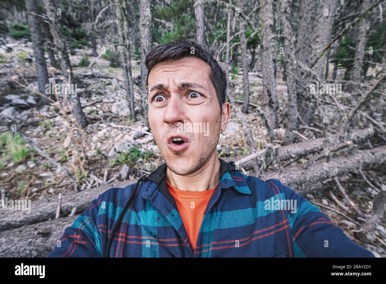 A frightened and lost male hiker looks around in the forest. The ...