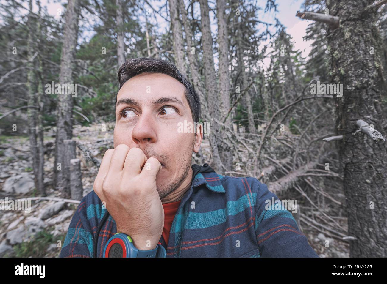 A frightened and lost male hiker looks around in the forest. The ...