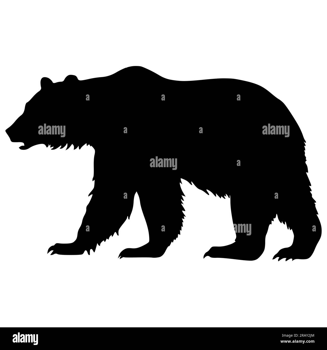 Bear Hand drawn Silhouette . Vector isolated on white graphic element ...