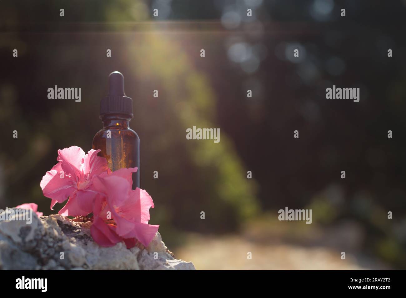 Natural flower extract. Therapy with the "BACH" method Mock-up for a ...