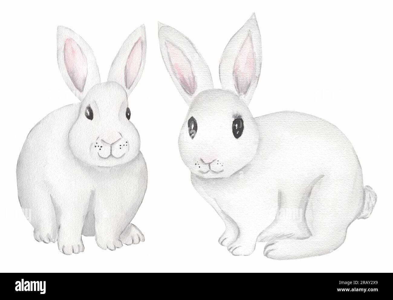 Cute watercolor bunny clipart, beautiful rabbit clip art. Hand drawing ...