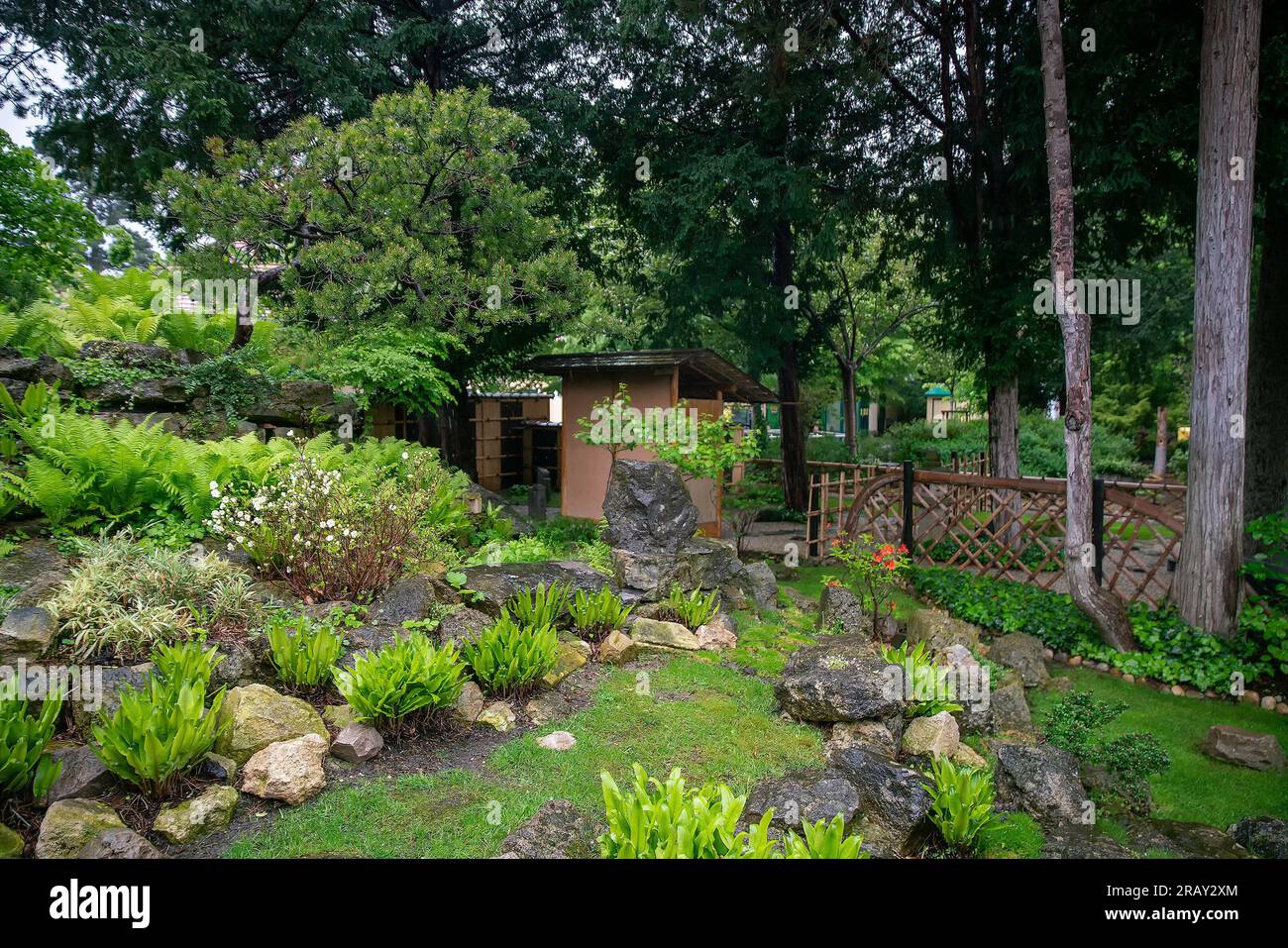 Japanese garden in Vienna (inside Botanical garden): Japanese maple ...