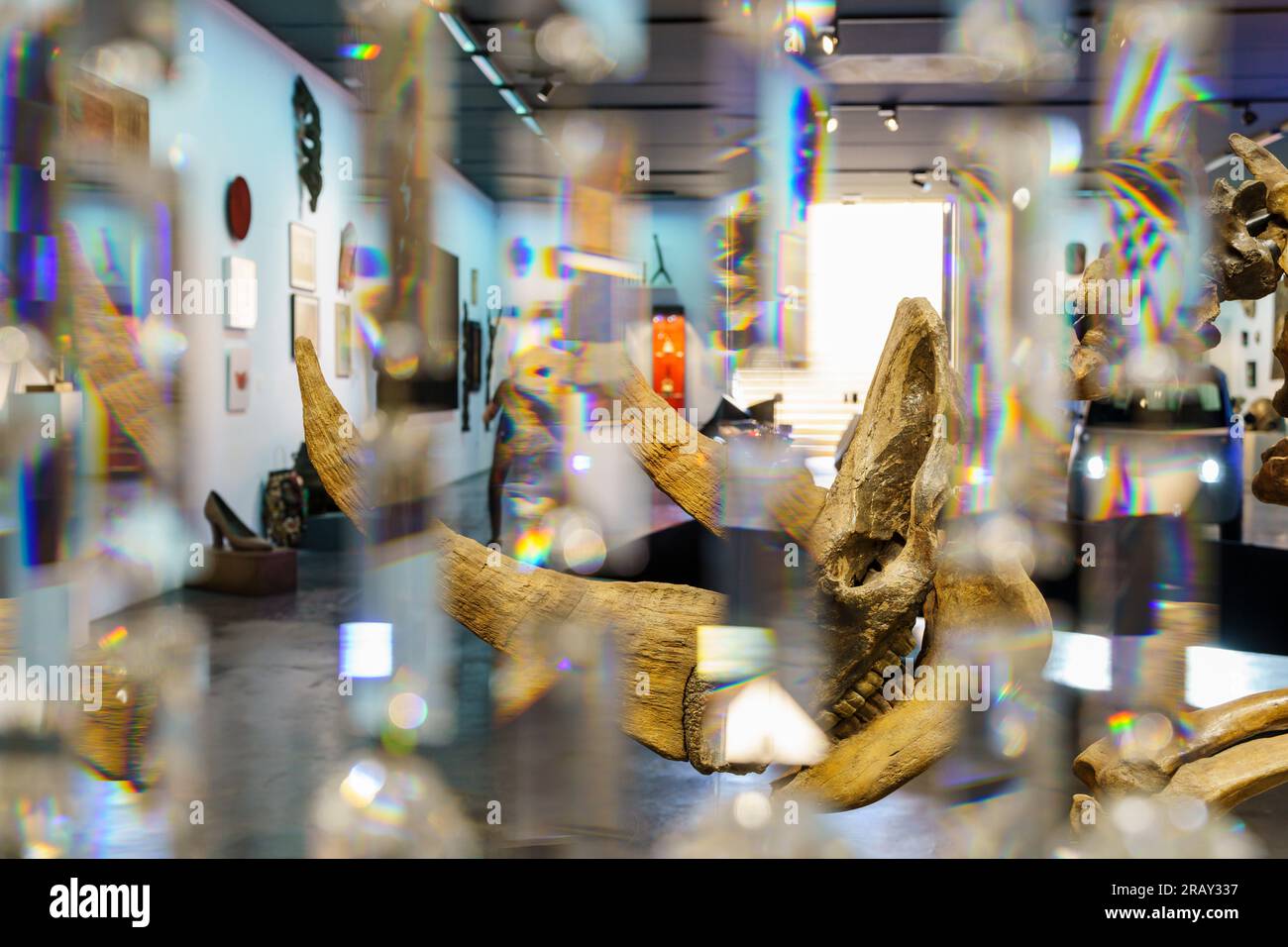 curtain of Swarovski crystals and fossilized skeleton of Siberian ...