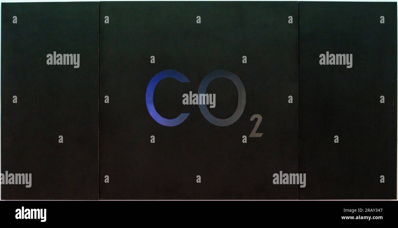 CO2, 2007, Dolores Vita, Sa Bassa Blanca Museum (msbb) Yannick Vu and ...