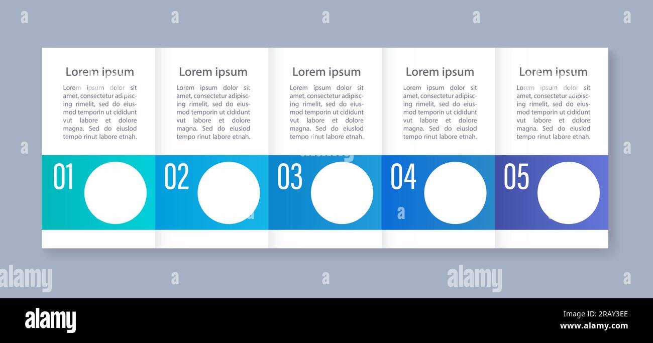 Daily schedule infographic chart design template Stock Vector Image ...