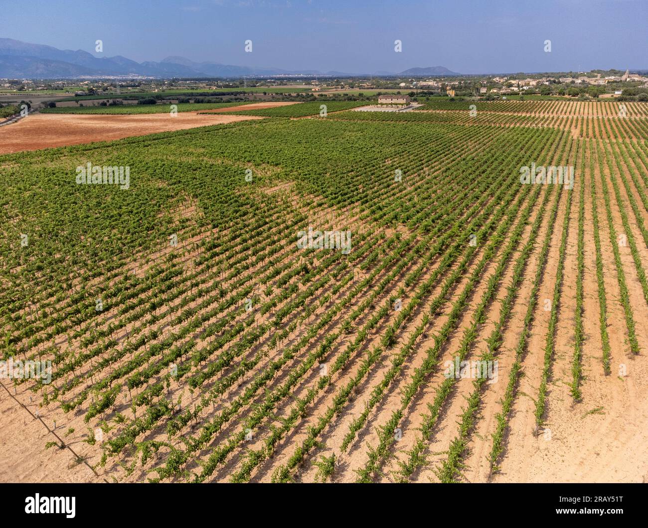 Son llompart hi-res stock photography and images - Alamy