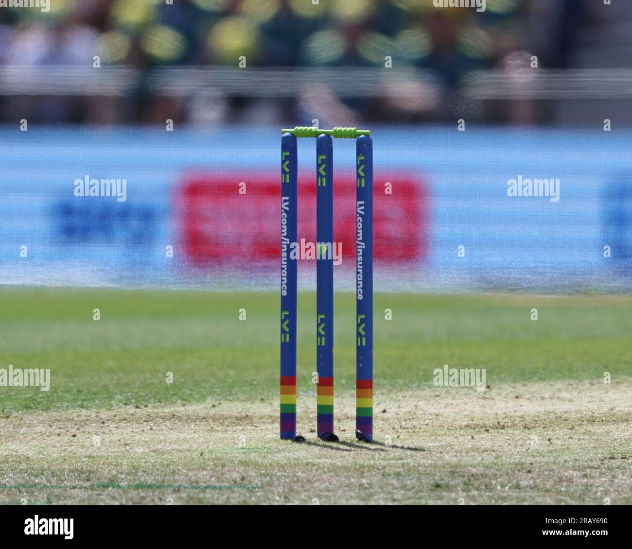Rainbow stumps hi-res stock photography and images - Alamy
