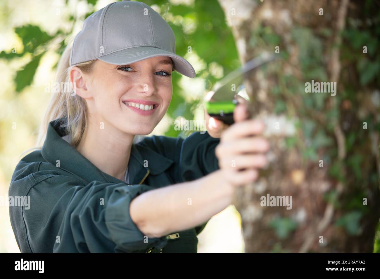 professional female lumberjack cutting oak tree Stock Photo - Alamy