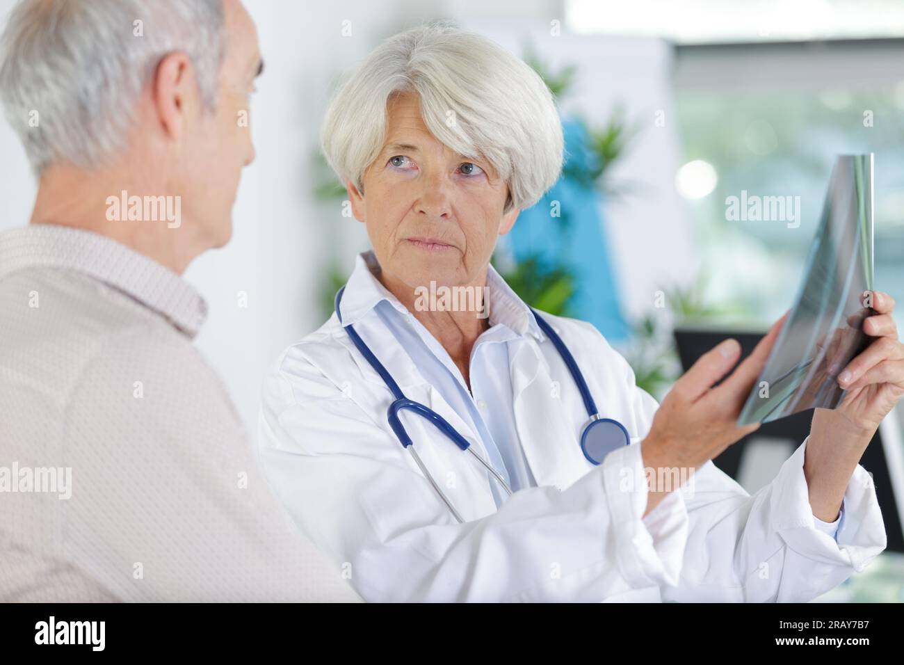 woman doctor hold patient xray with head Stock Photo - Alamy