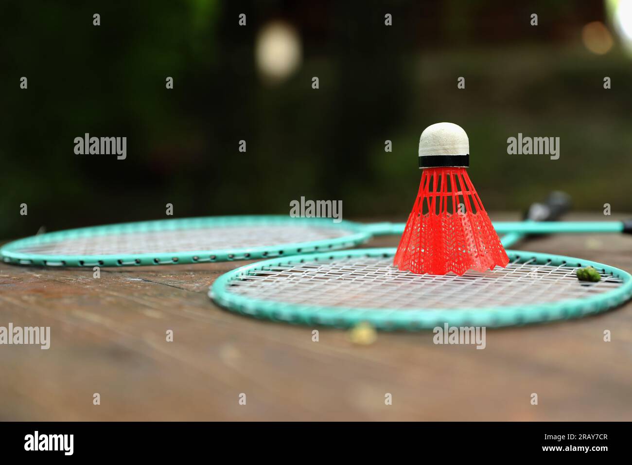 close up Badminton racket with shuttlecock Stock Photo - Alamy