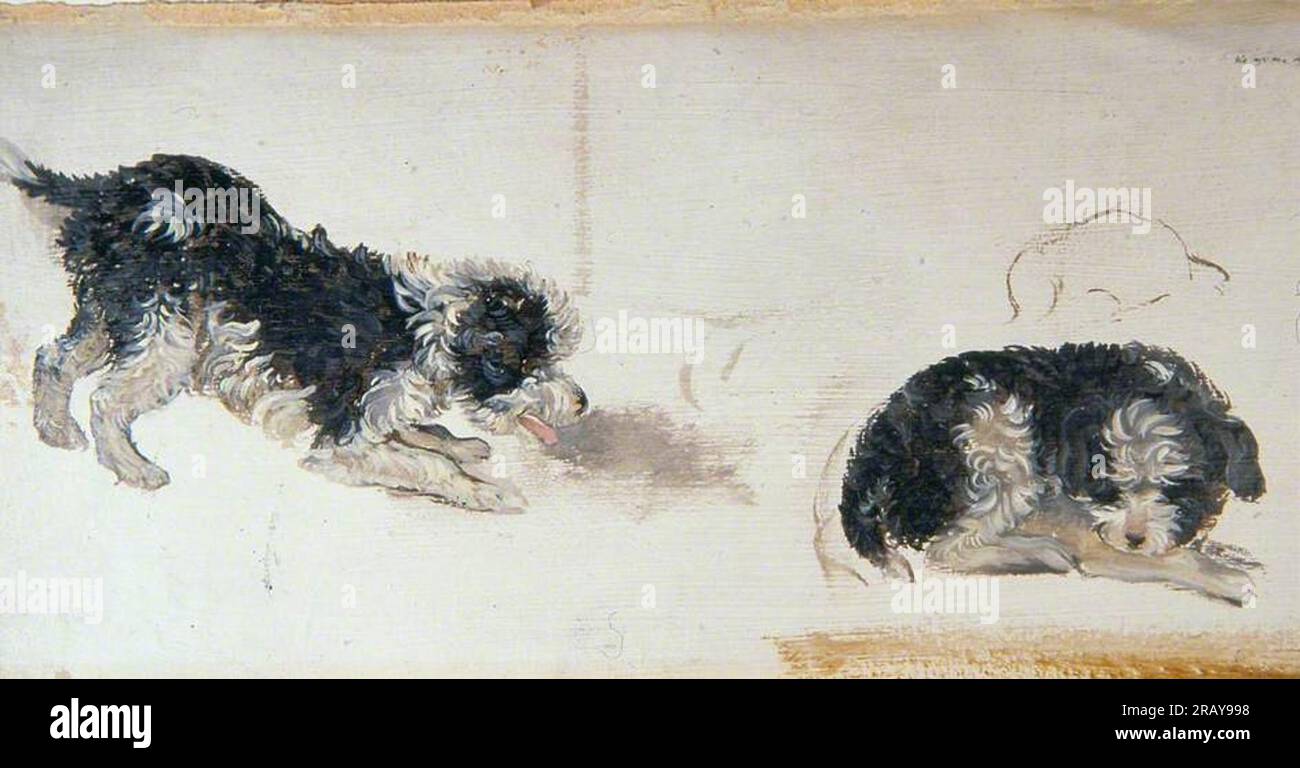 Harvey dogs hi-res stock photography and images - Alamy