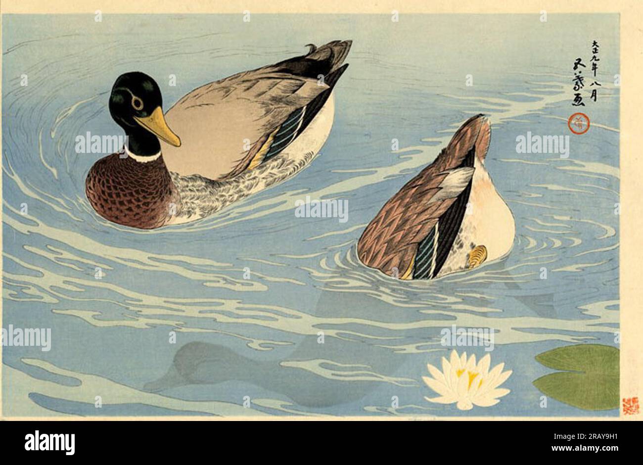 Ducks 1920 by Goyo Hashiguchi Stock Photo - Alamy