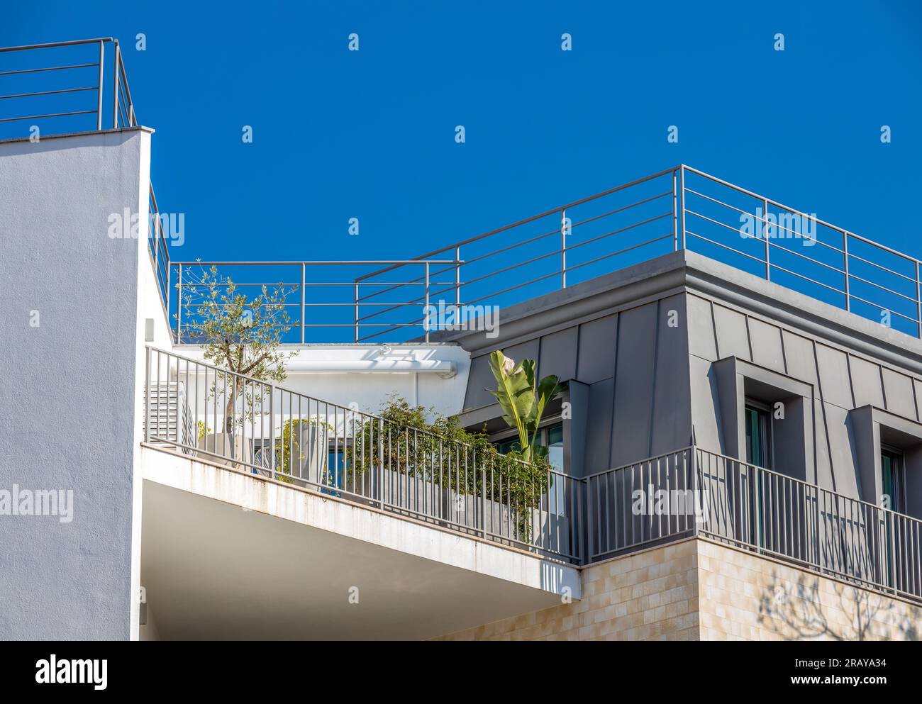 terrace exterior of elegant modern building with tropical plants and ...