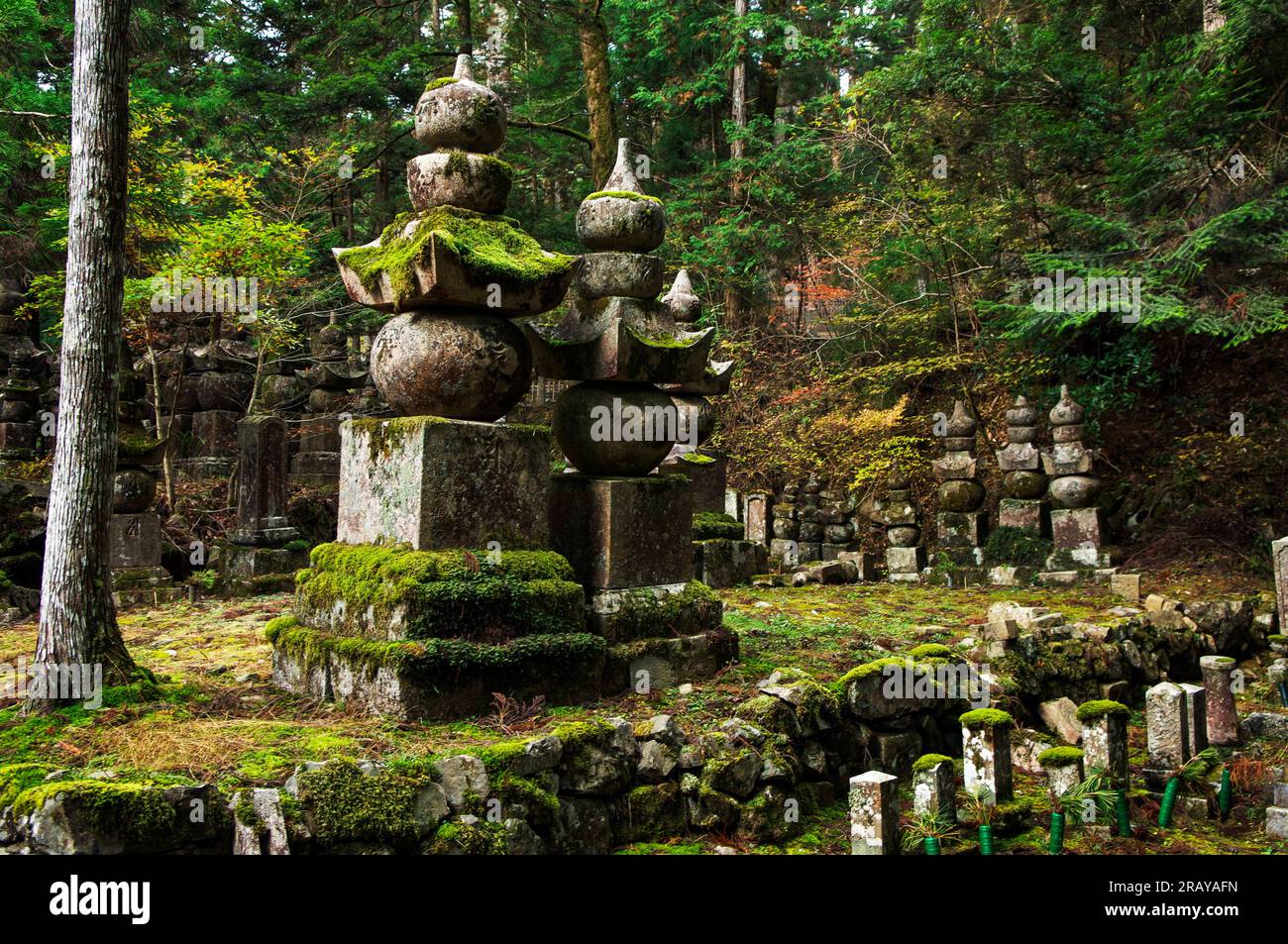 Okunoin, the mausoleum of Kobo Daishi, founder of Shingon Buddhism, is ...