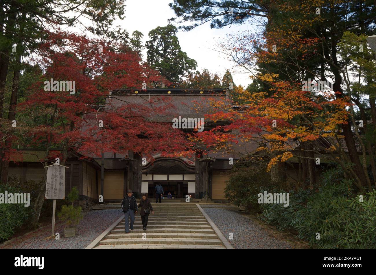 Old cedar trees tower shade this sacred area of Okunoin where many ...