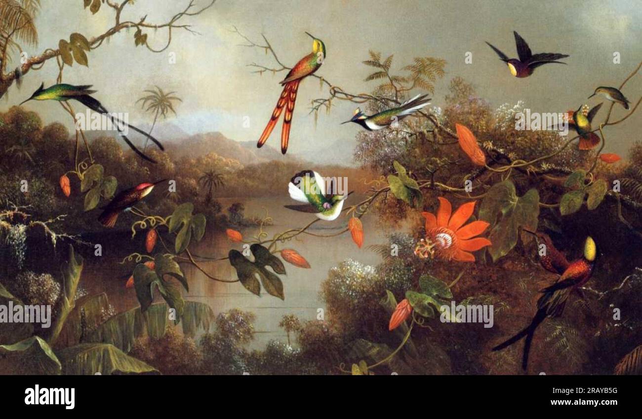 Tropical Landscape With Ten Hummingbirds by Martin Johnson Heade Stock ...