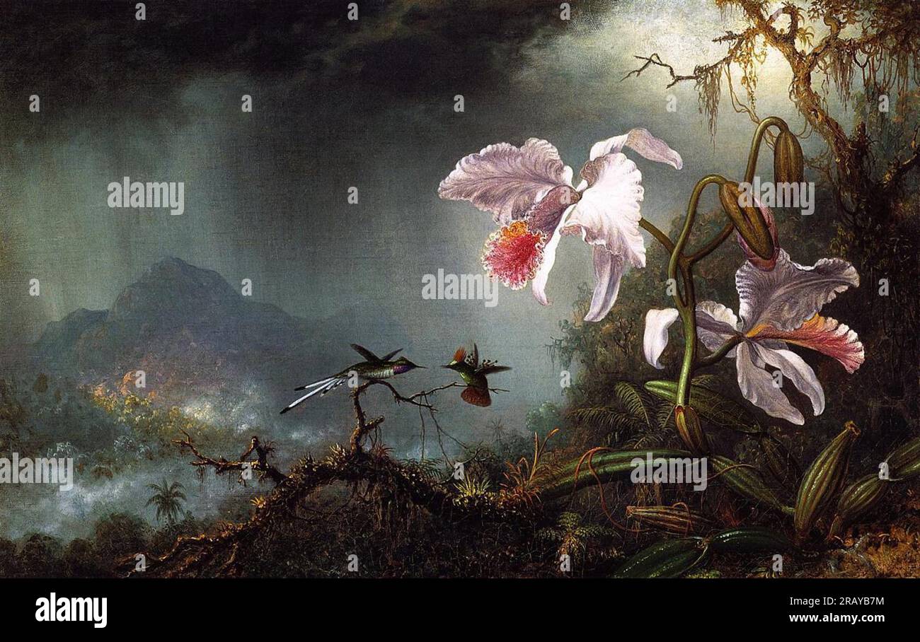 Two Fighting Hummingbirds with Two Orchids 1875 by Martin Johnson Heade ...