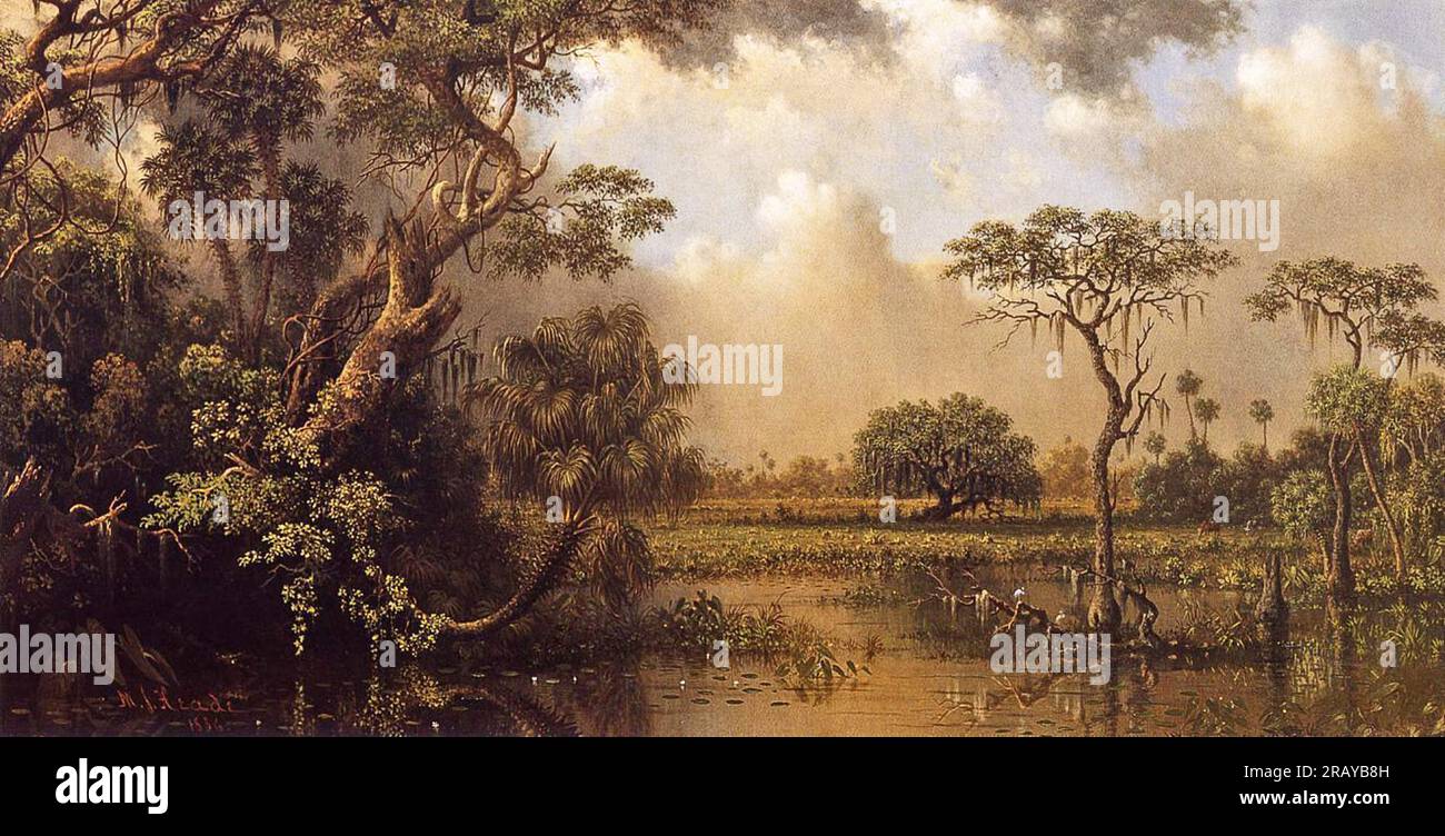 The Great Florida Marsh 1886 by Martin Johnson Heade Stock Photo - Alamy