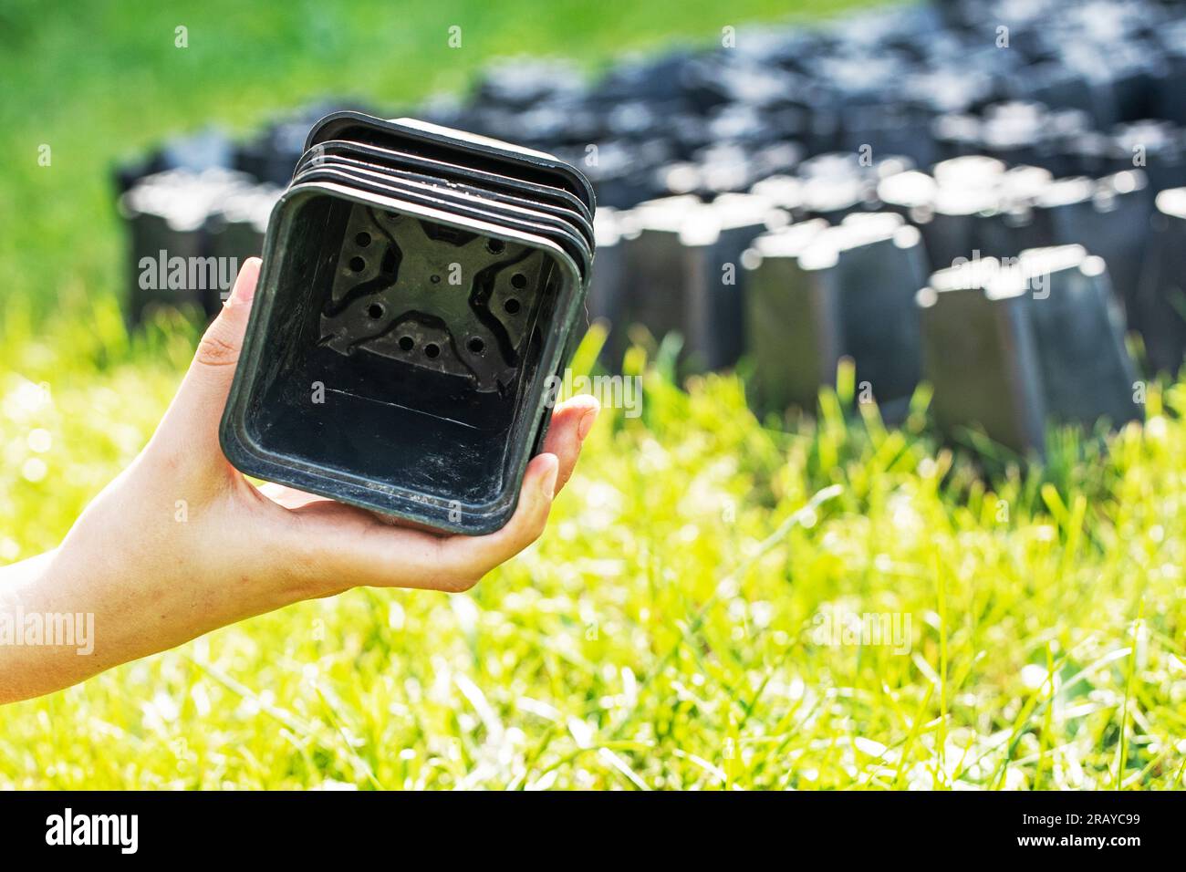 girl's hands hold empty plastic containers with holes in the bottom for ...
