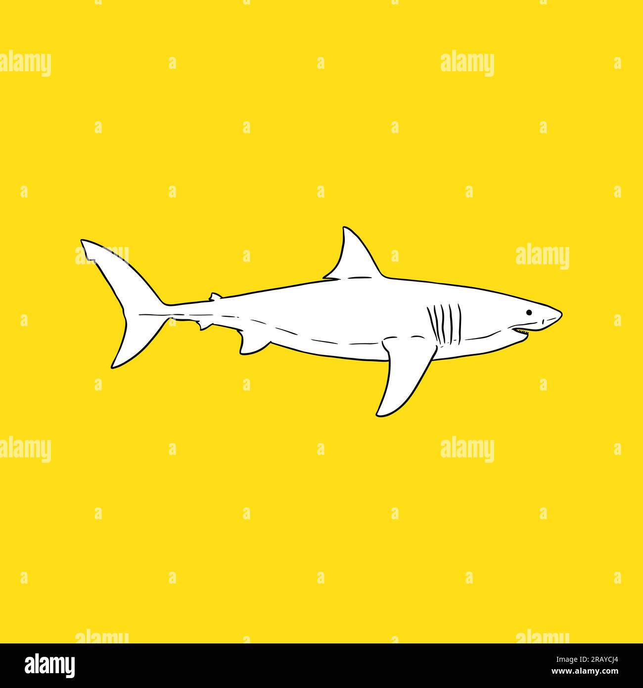 Great white shark, side view. hand-drawn. - Vector Stock Vector Image ...
