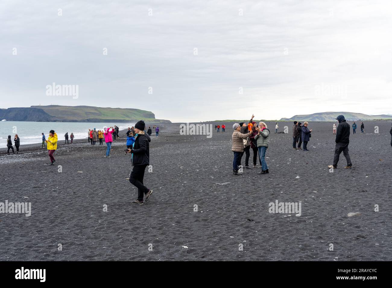 Reynisfjara Black Sand Beach, Iceland - 06.22.2023: People walking on ...