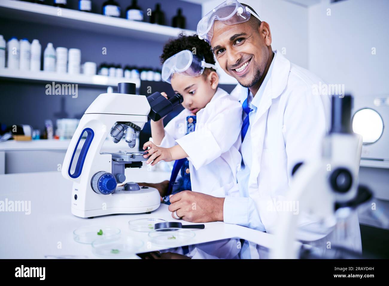 Chemistry, microscope and scientist with child in laboratory for ...
