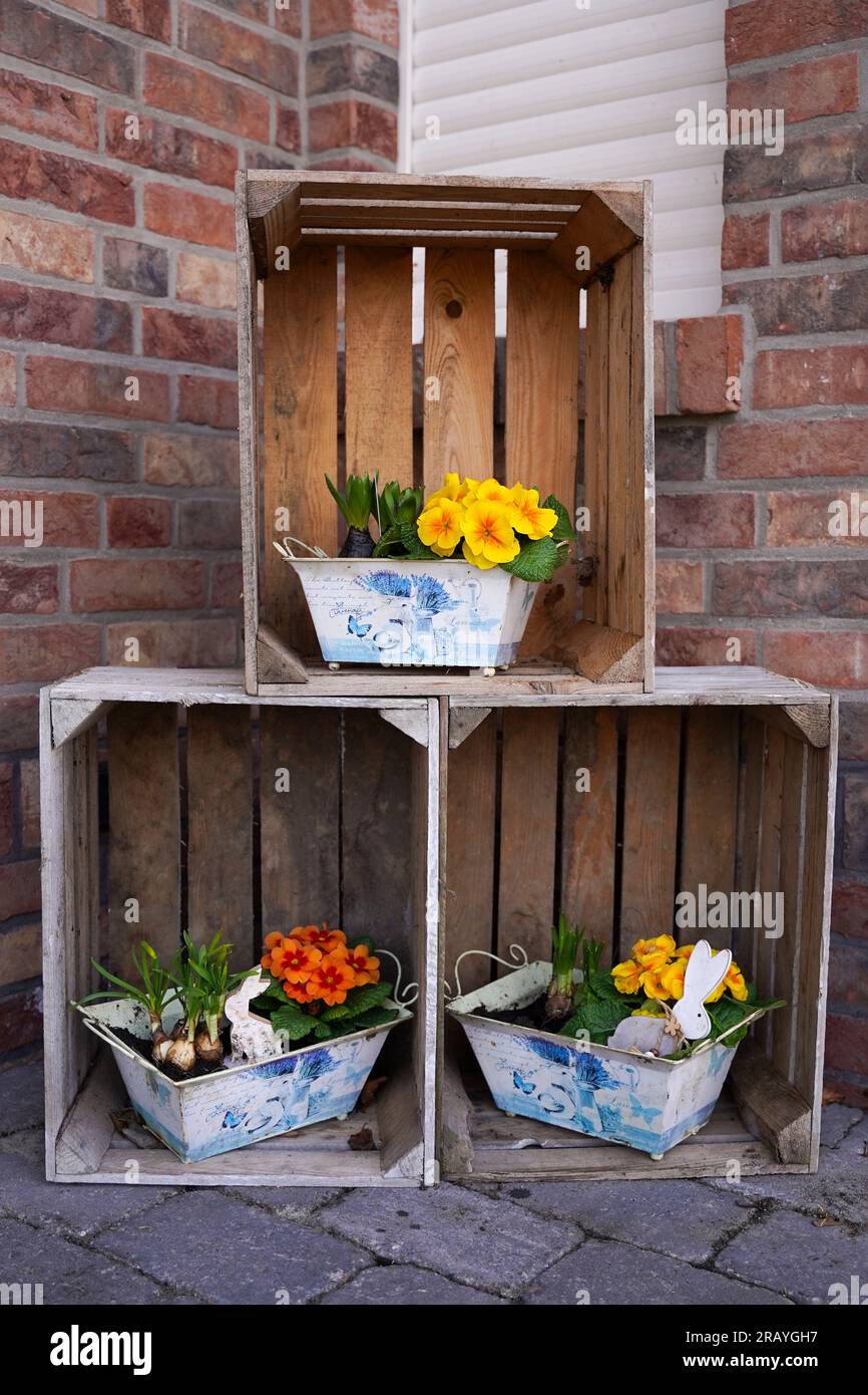 Decorative pots with spring flowers in wooden boxes. Original garden ...