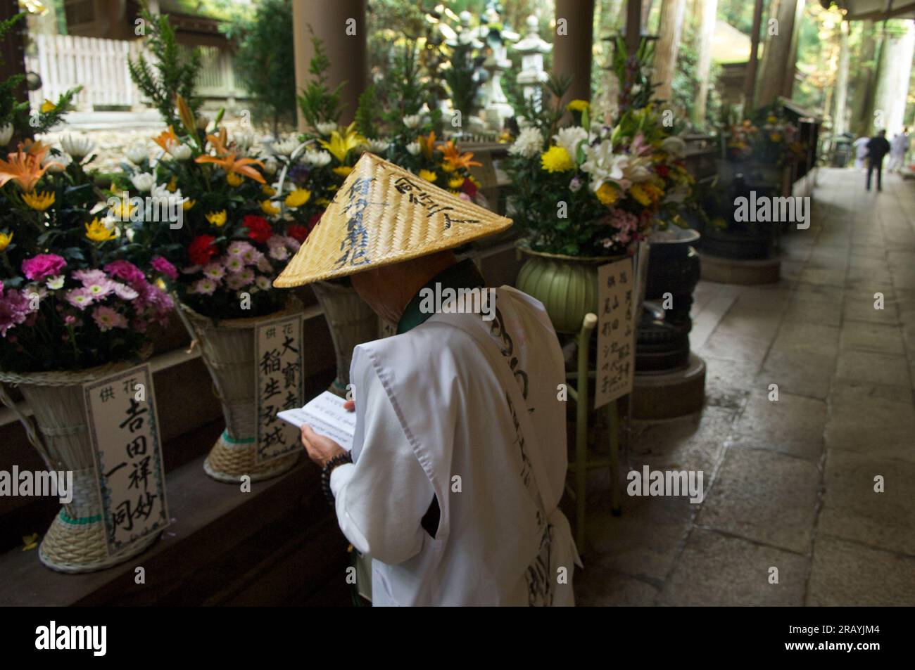 Old cedar trees tower shade this sacred area of Okunoin where many ...