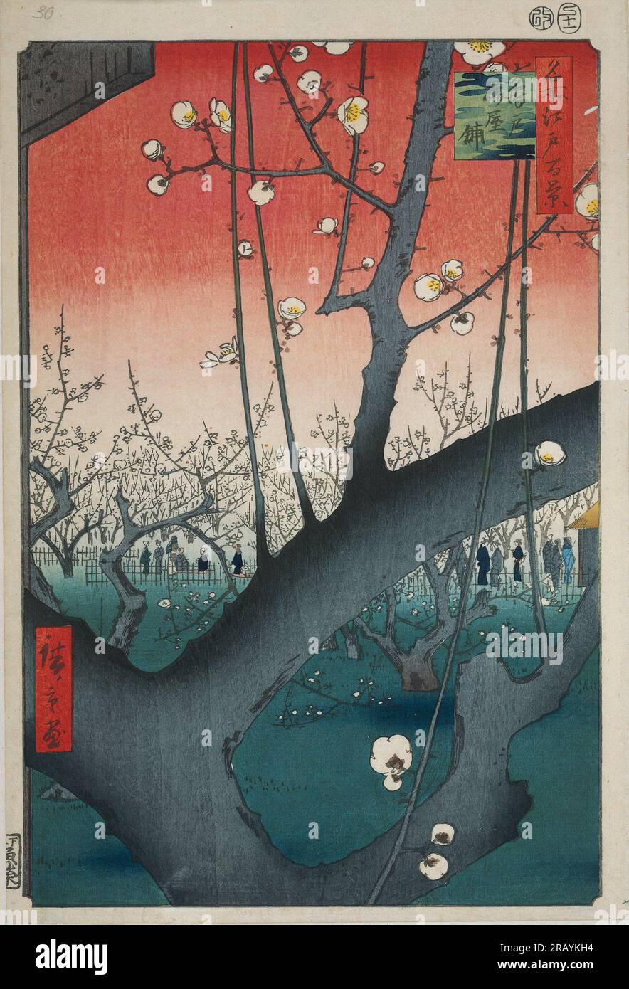 30. Plum Park in Kameido 1857; Japan by Hiroshige Stock Photo - Alamy