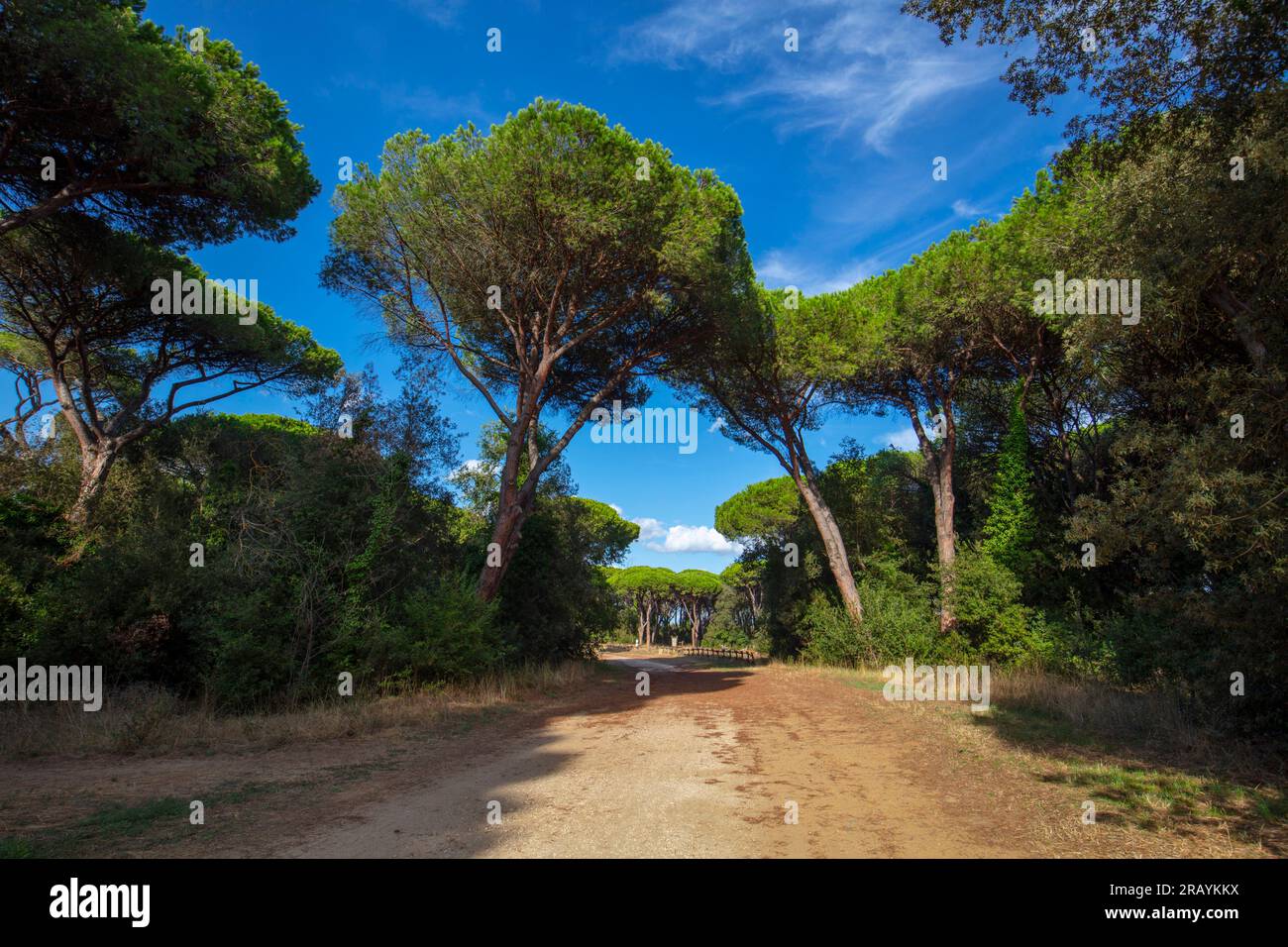 Castel fusano rome hi-res stock photography and images - Alamy