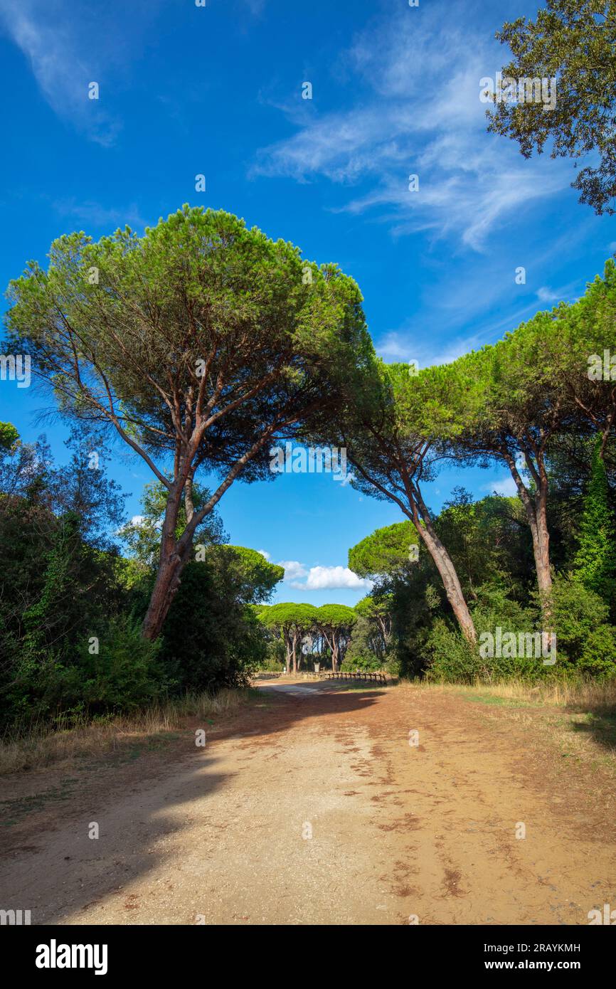 Fusano hi-res stock photography and images - Alamy