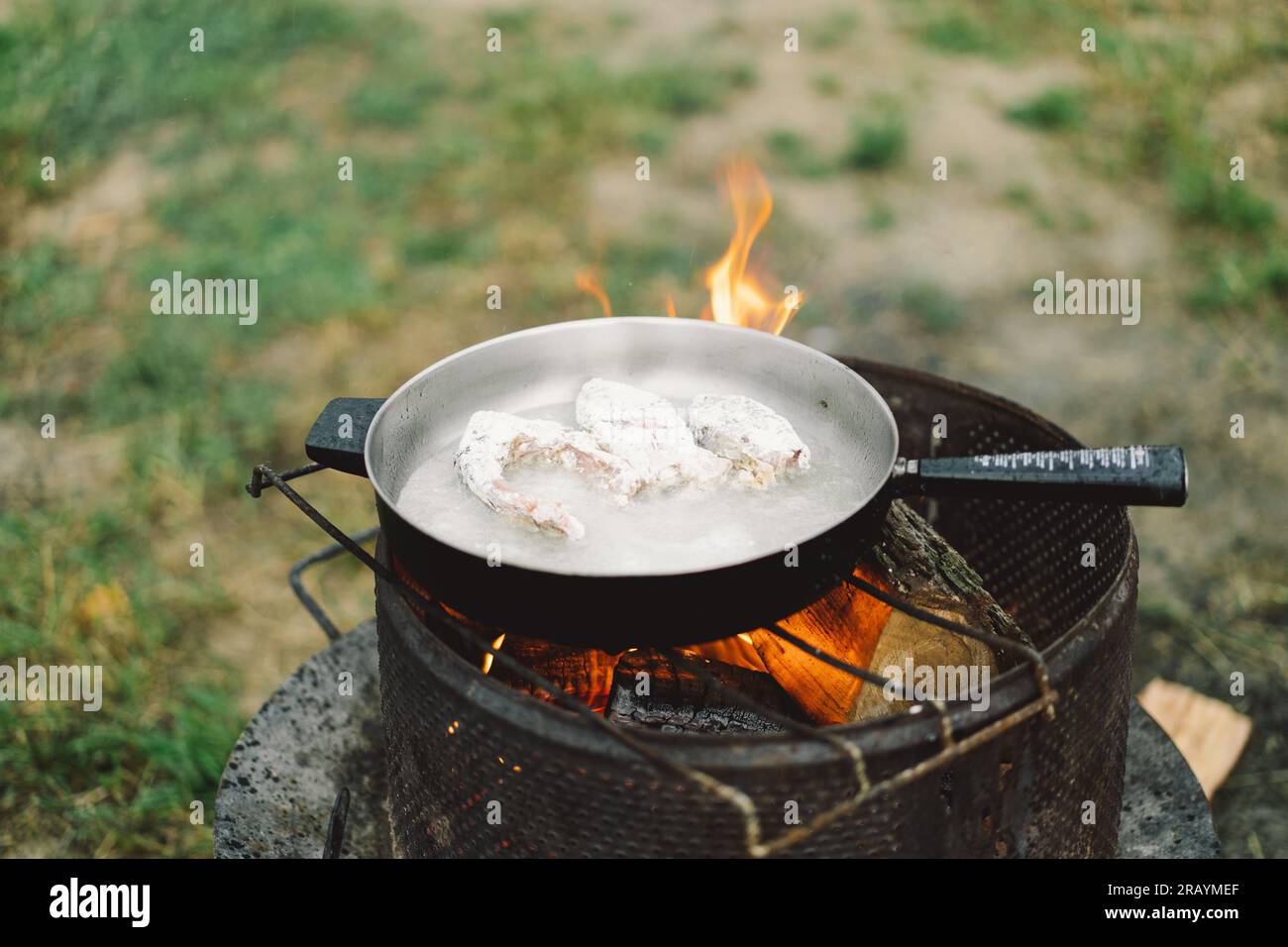Man cooking fish on fire in nature, camping outdoors Stock Photo - Alamy