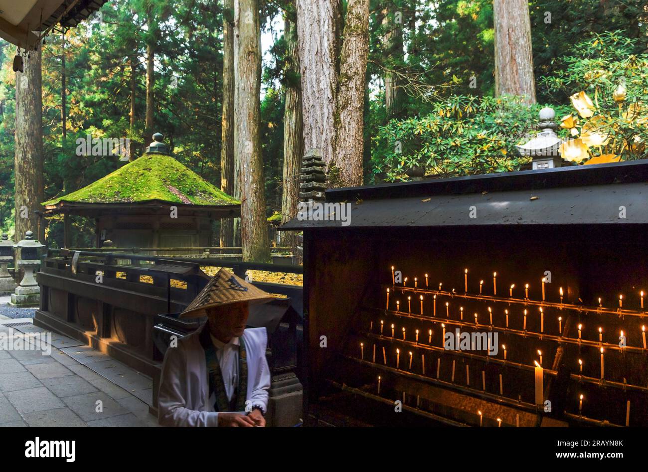 Old cedar trees tower shade this sacred area of Okunoin where many ...