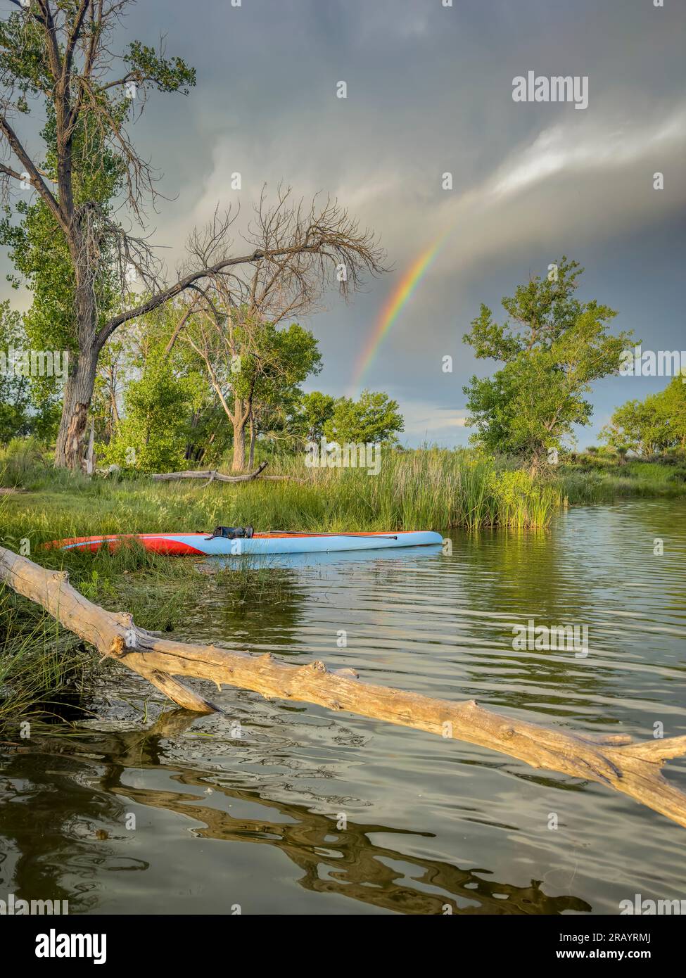 long and narrow racing stand up paddleboard at lake shore, stormy sky ...