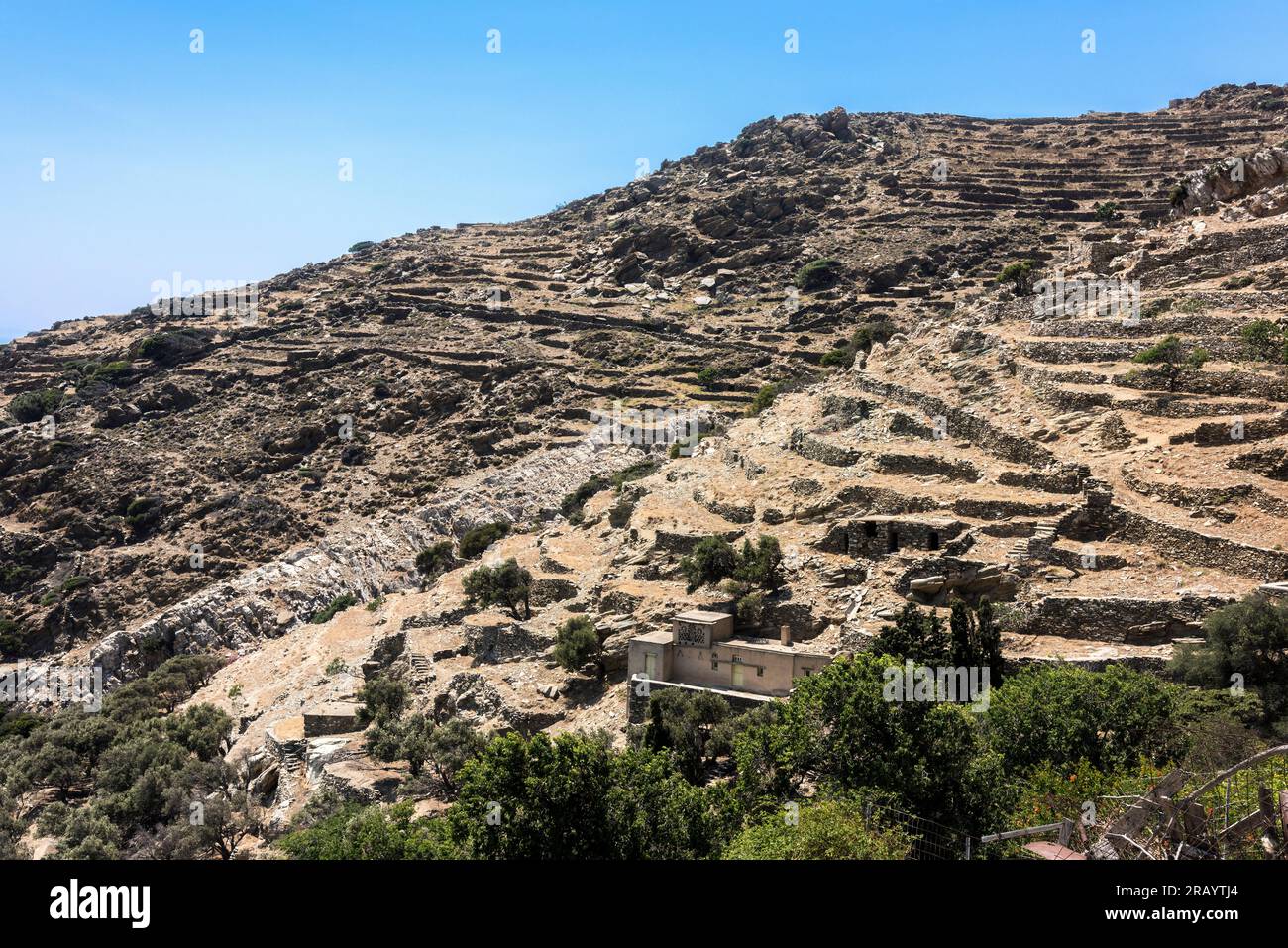 Terraced Hillside, below Kardiani Village, Tinos Stock Photo - Alamy