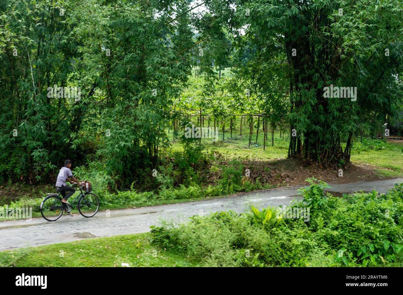 A Village Road in rural india. Assam India South Asia Pacific Stock ...