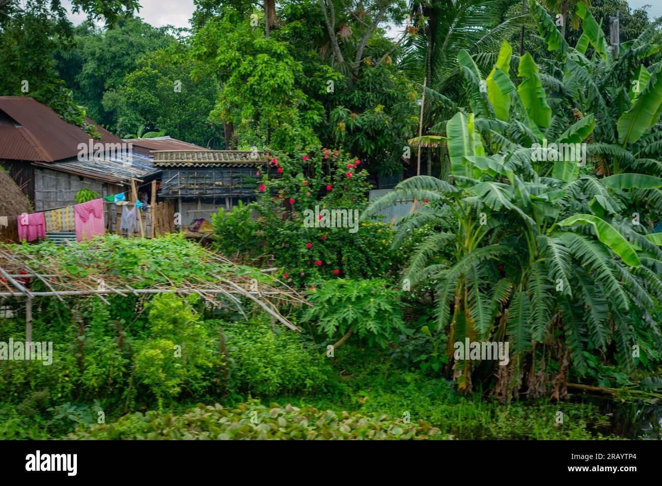 Rural village backyard garden. Landscape Scenery Stock Photo - Alamy