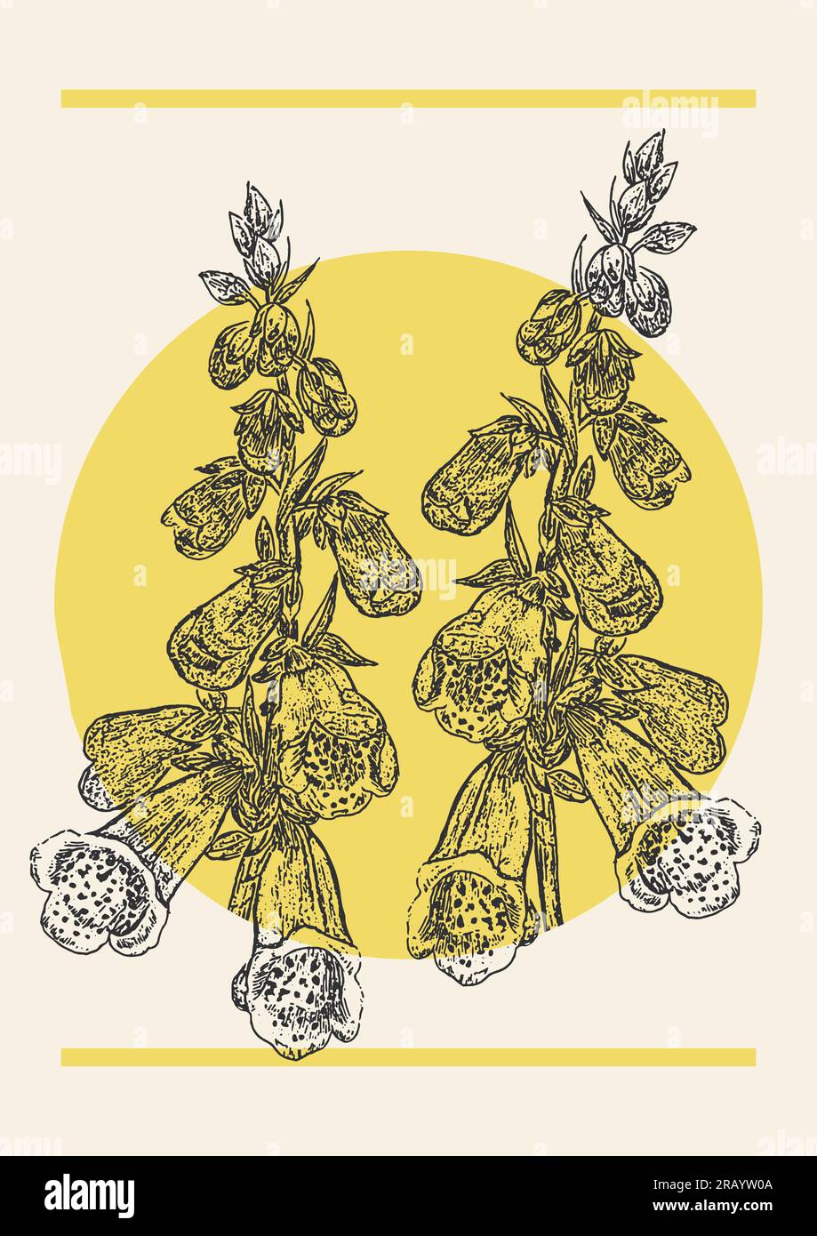 Blossom flower bells branch sketch illustration poster Stock Vector ...