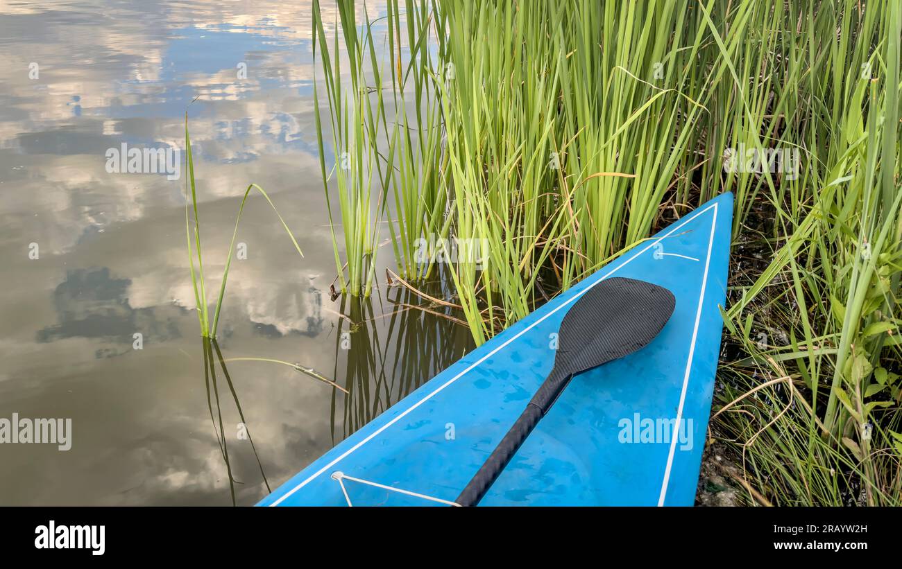 Bow of stand up paddleboard with a carbon fiber paddle and green rees ...