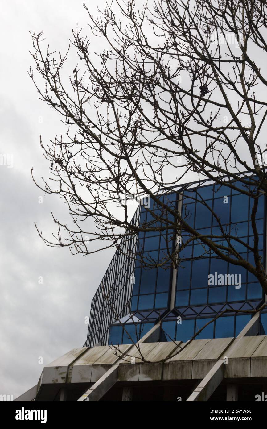 A commercial property with branches in front Stock Photo - Alamy