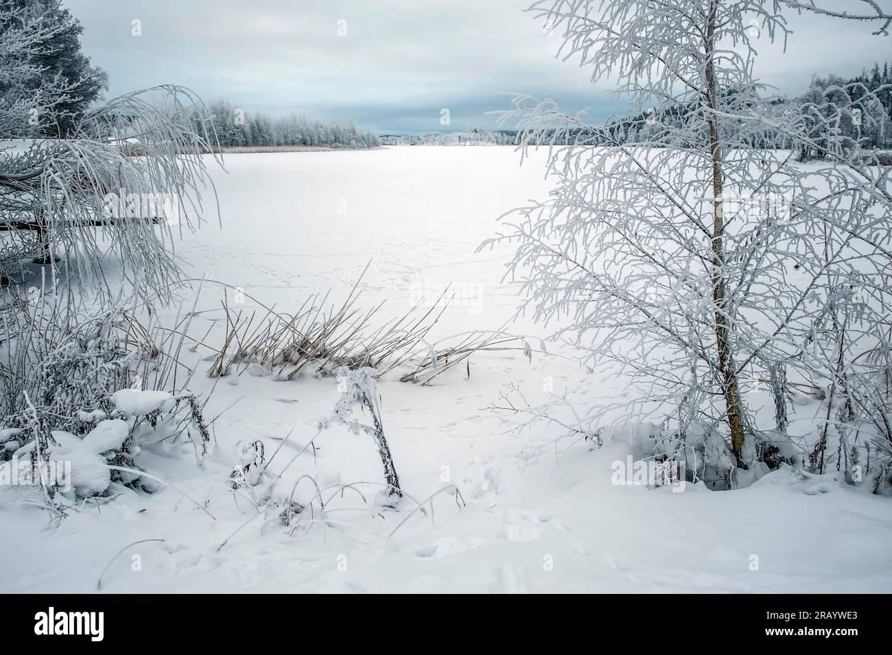 Nordic winter hi-res stock photography and images - Alamy